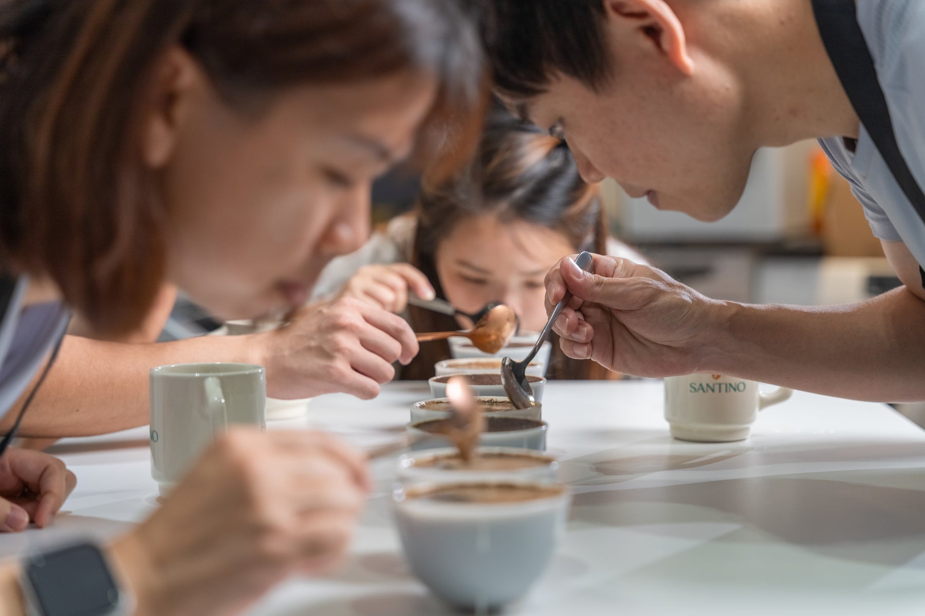 Wholesale Coffee Beans in Singapore | Santino Coffee